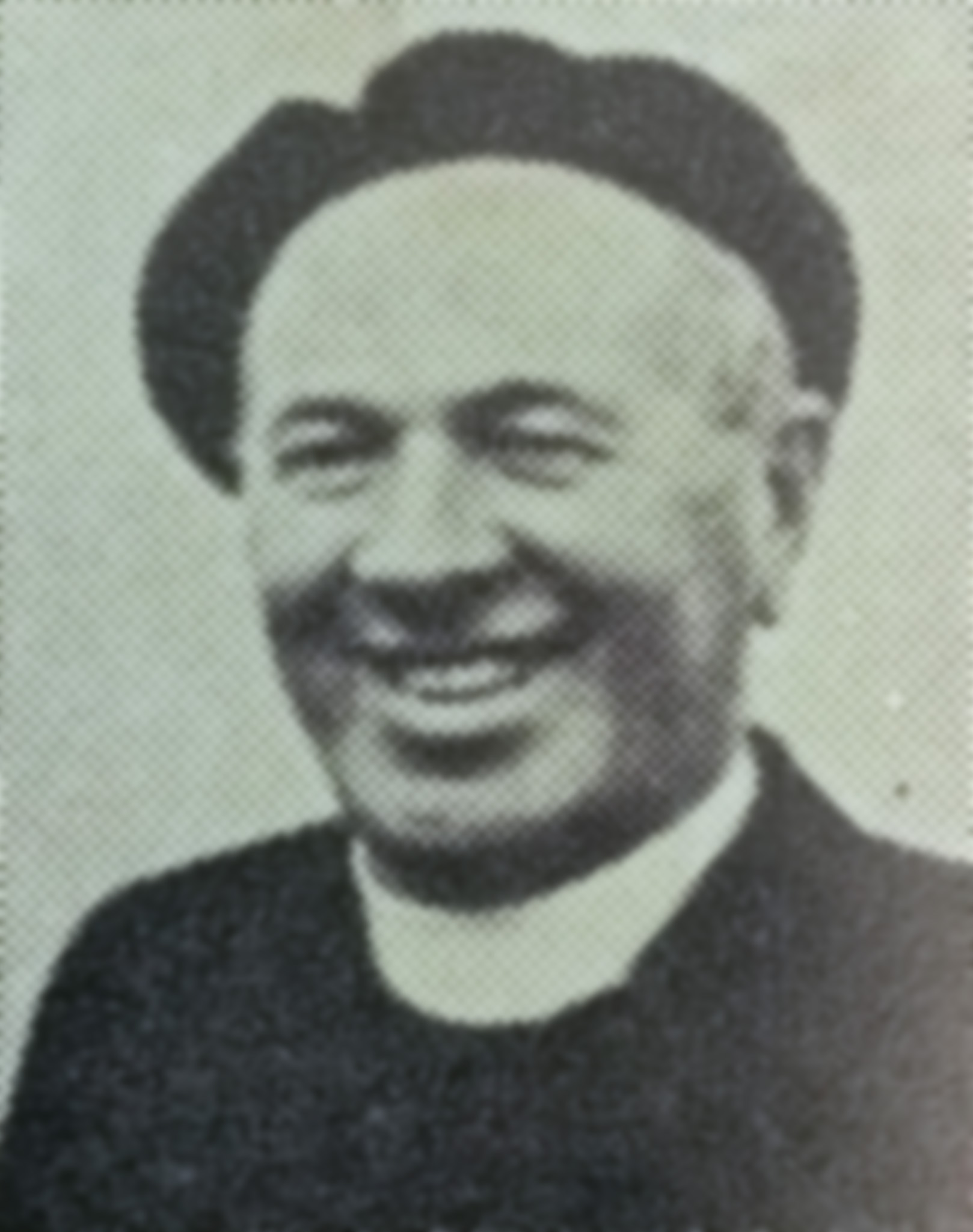 Faith at War and the Priests who served from the Catholic Diocese of ...