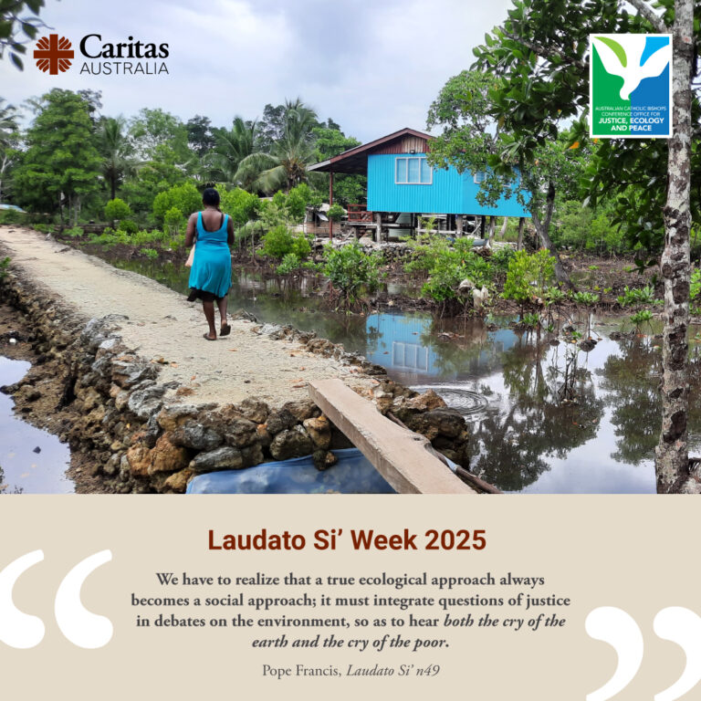 Laudato Si’ – May 17-24, 2025: 10th Anniversary – Diocese of Ballarat