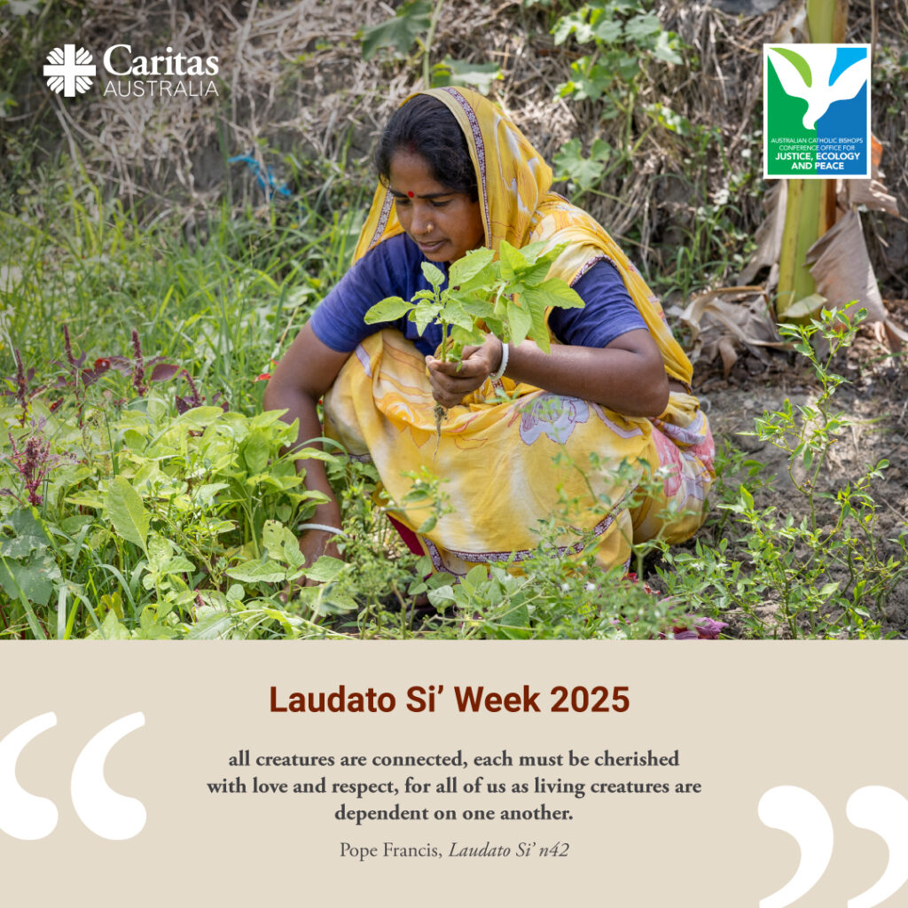 Laudato Si’ – May 17-24, 2025: 10th Anniversary – Diocese of Ballarat